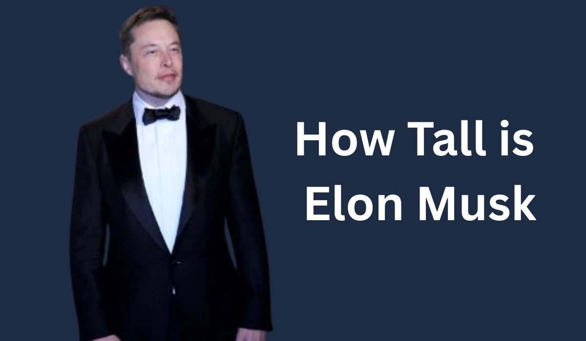 Elon Musk Height: How Tall is the Billionaire Entrepreneur?